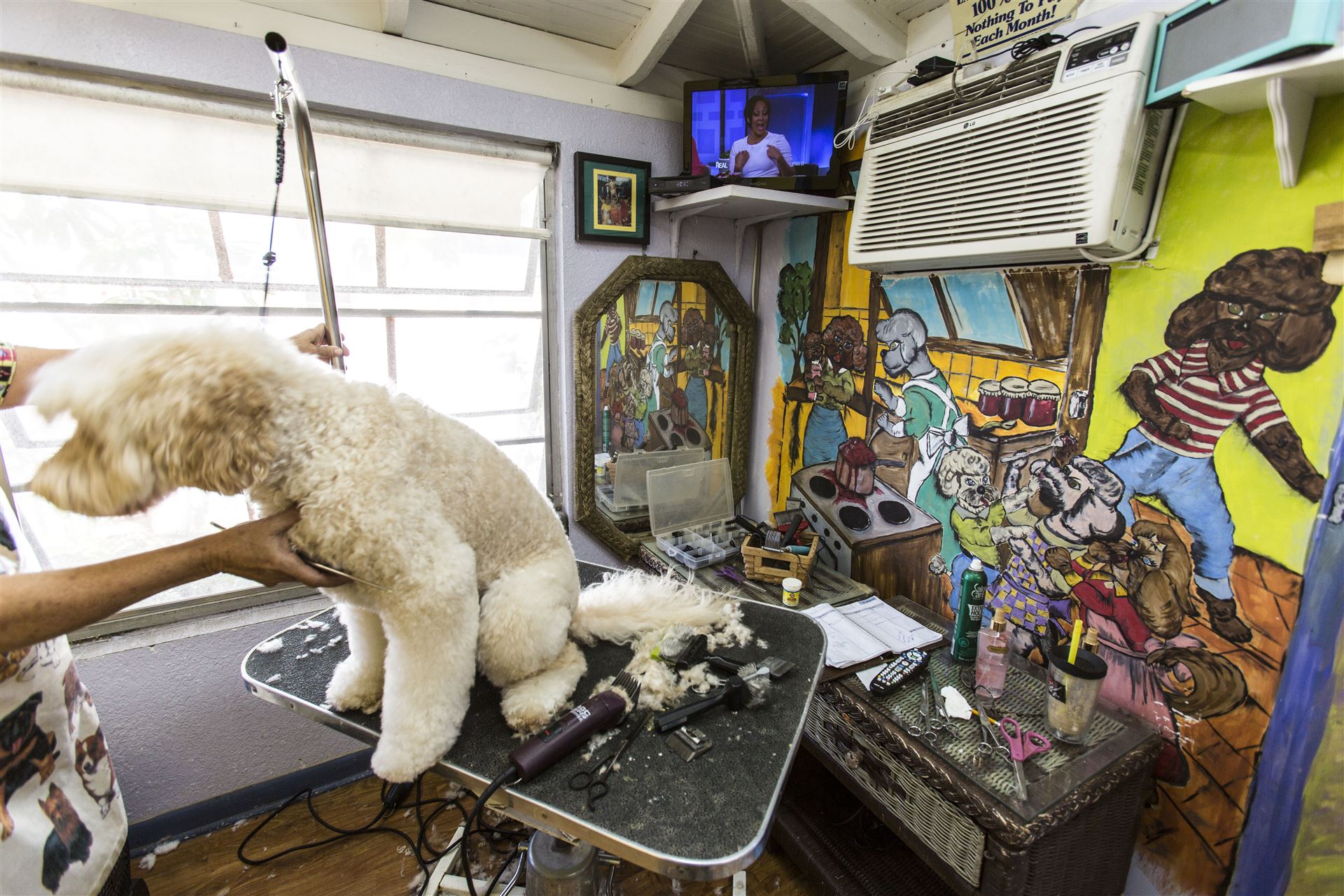 Locations Hub - Bark Place Hotel