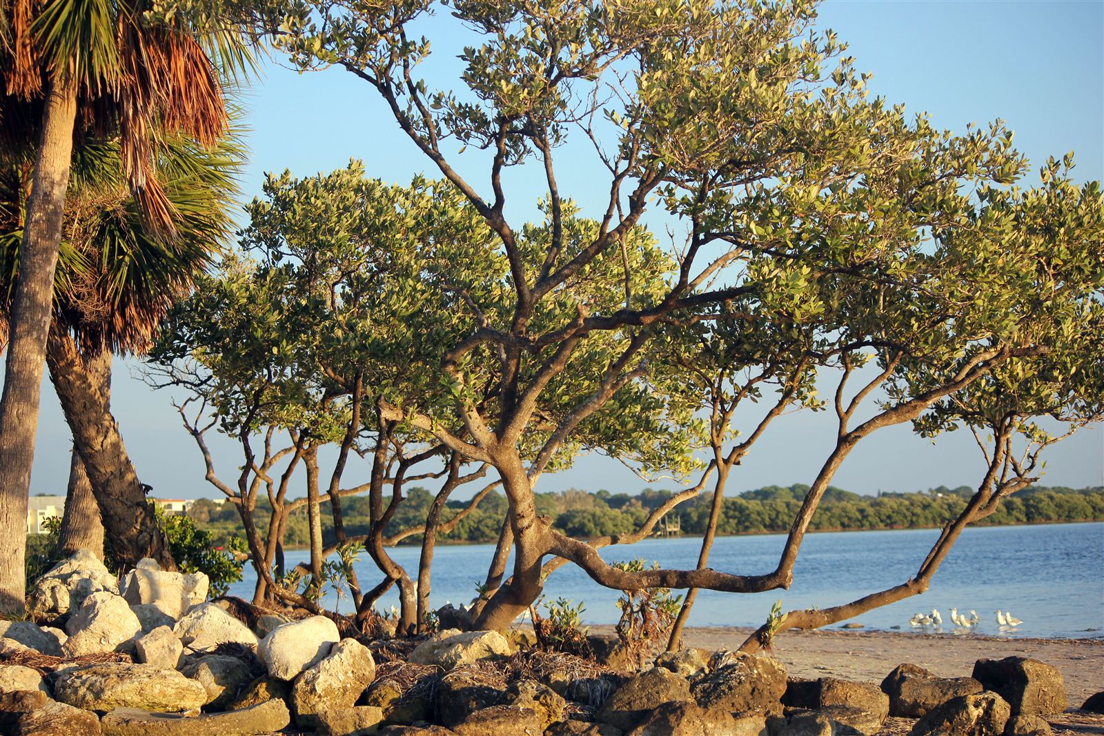 Locations Hub - Sunset Beach - Tarpon Springs