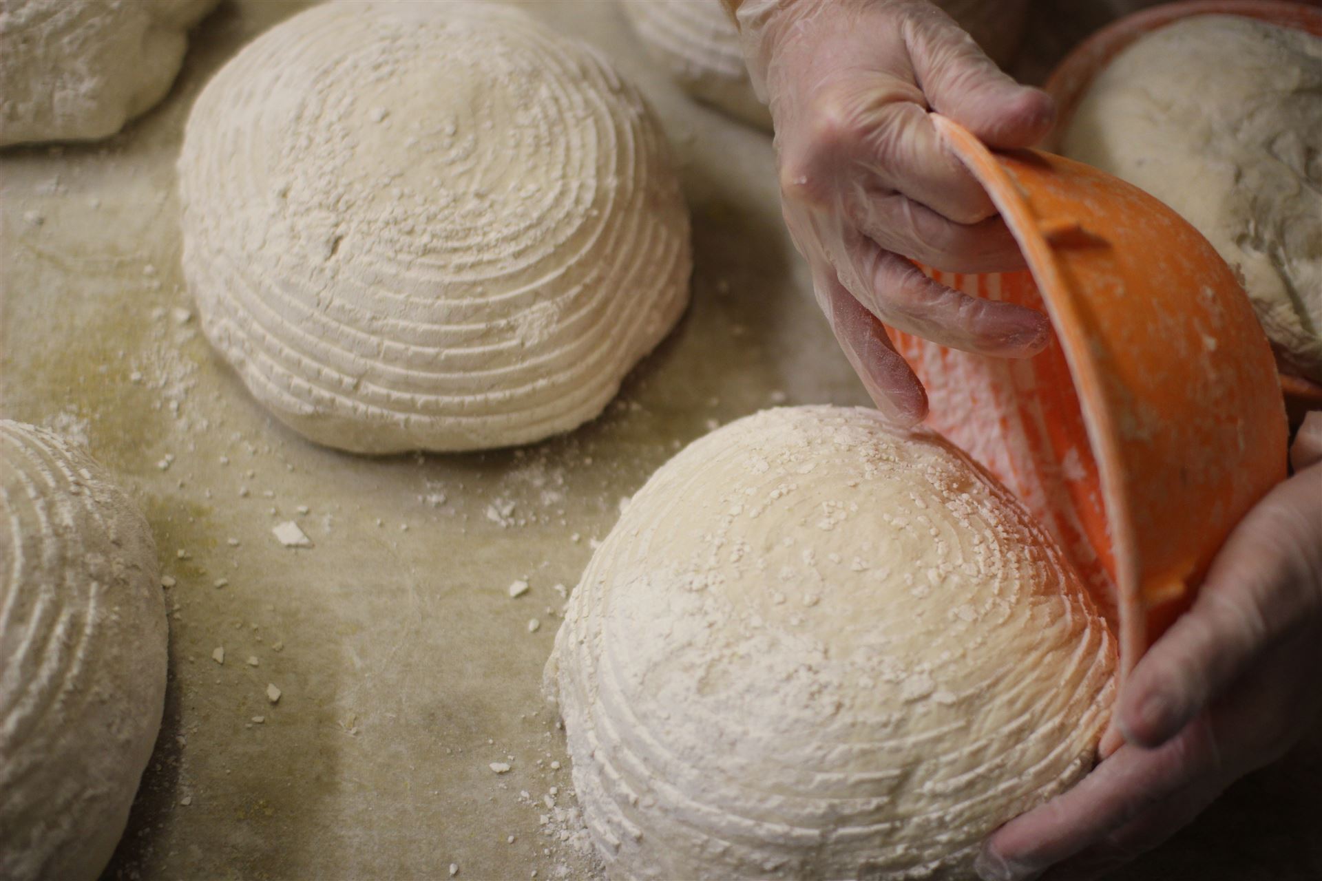 Locations Hub - Mazzaro's Italian Market